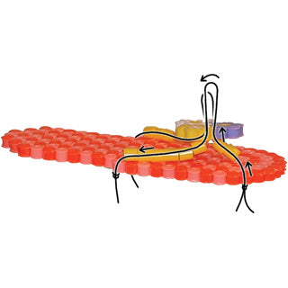 Flip Flops – Perler